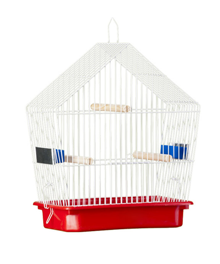 GAIOLA LONDRINA Nº 109 – Mundo Animal